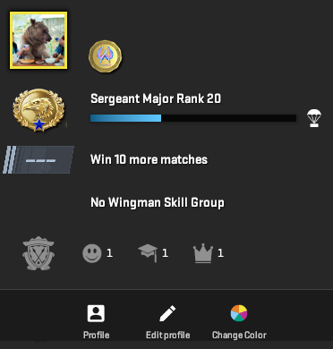 PRIME ACCOUNT 1 MEDALS (PREMIER READY) - low price | ArcticBoost